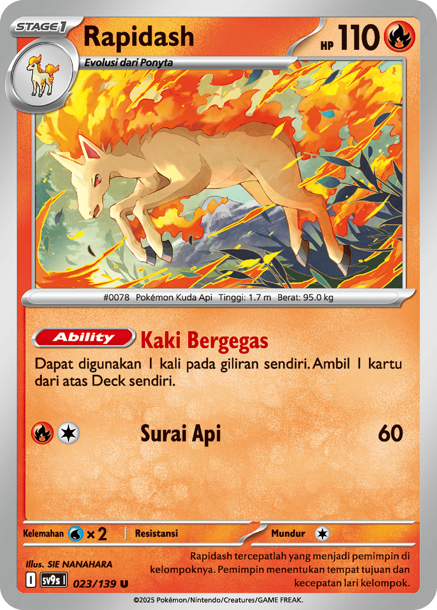 Rapidash | Situs Web Pelatih
