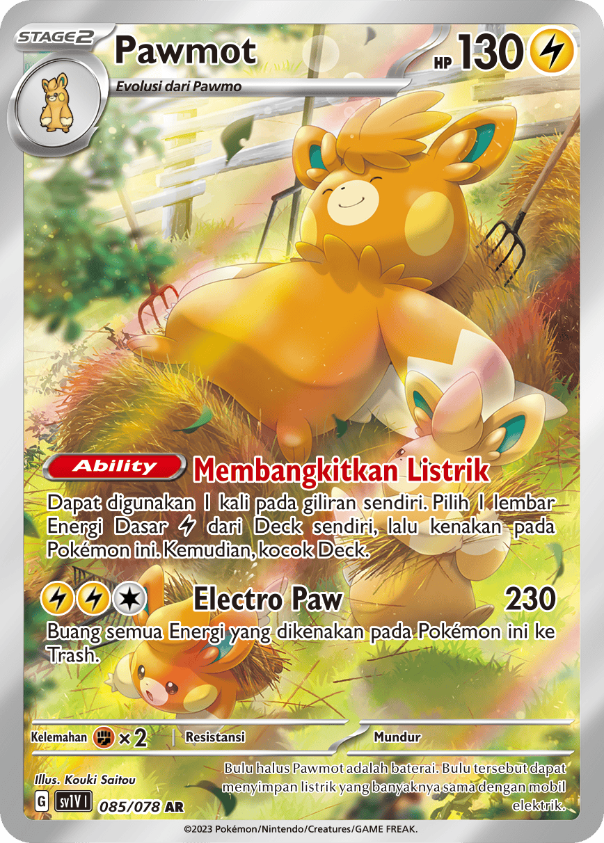 Pawmot | Situs Web Pelatih