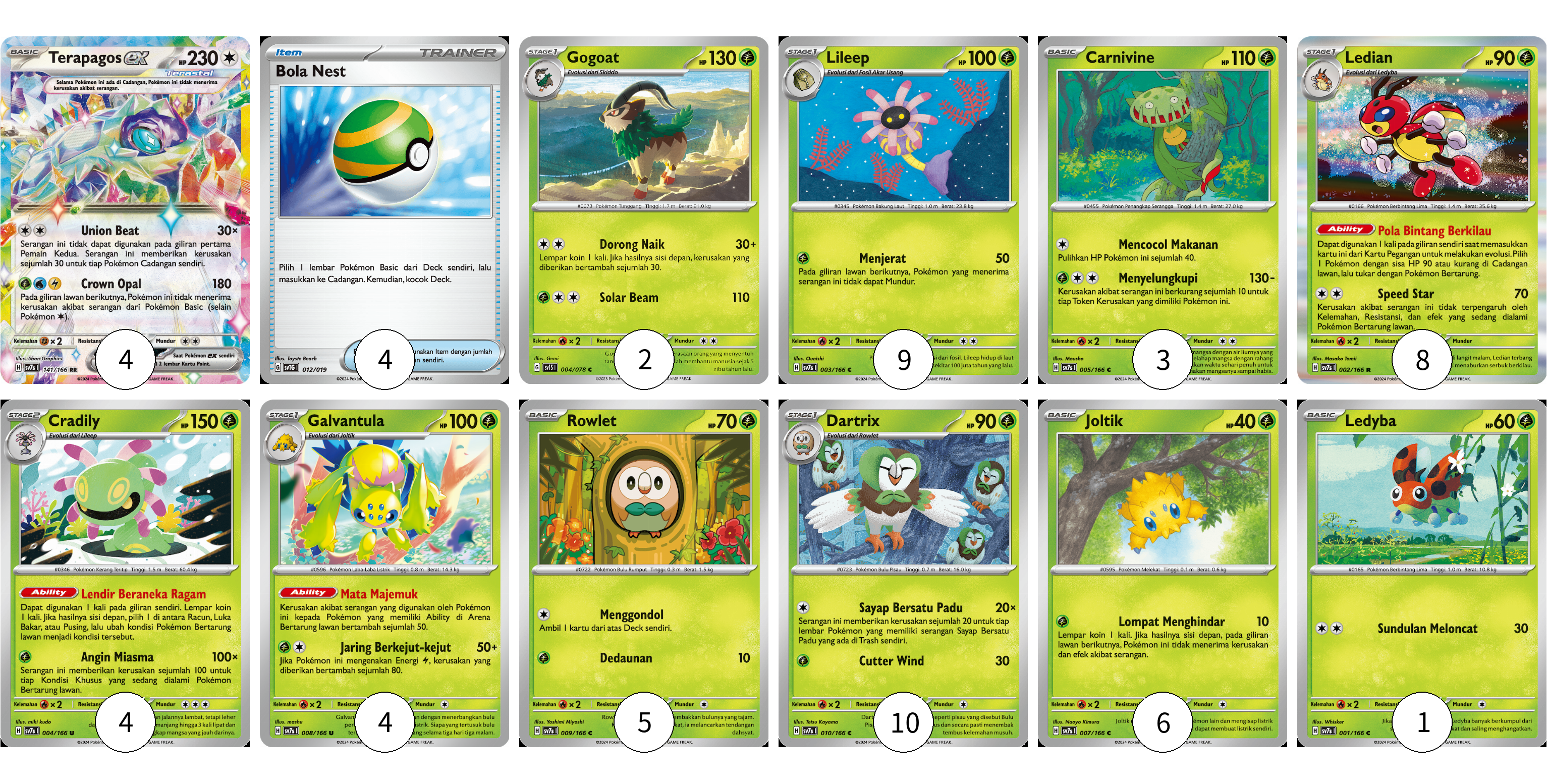 Decklist Situs Web Pelatih